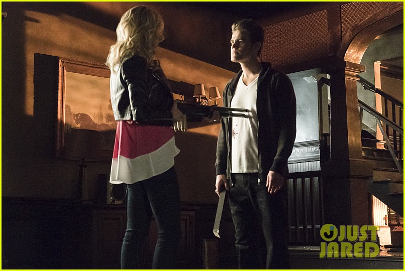 Paul Wesley Says Steroline 'Start Off Pretty Strong' on 'The Vampire ...