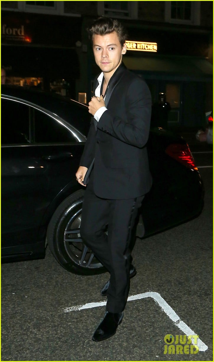 Harry Styles' Trainer Reveals His 'Freakish' Strength | Photo 1035854 ...