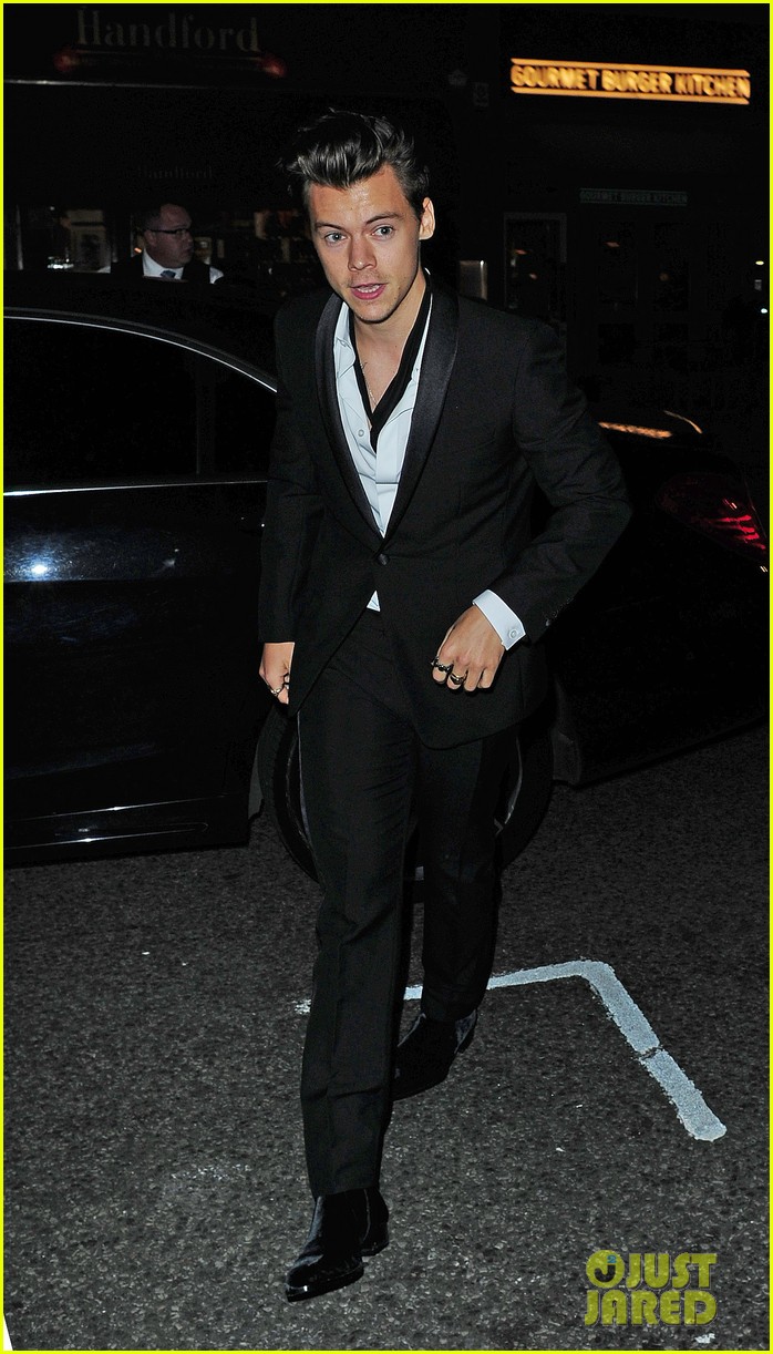 Harry Styles' Trainer Reveals His 'Freakish' Strength | Photo 1035862 ...