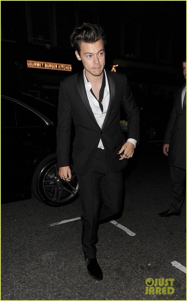 Harry Styles' Trainer Reveals His 'Freakish' Strength | Photo 1035876 ...