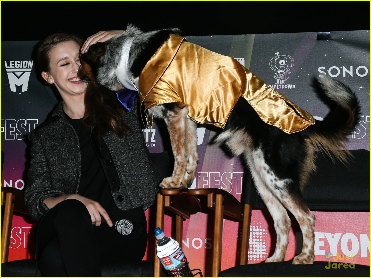 Taissa Farmiga & Her Canine Co-Star Premiere New Film at BeyondFest 2016 | Photo 1036530 - Photo ...