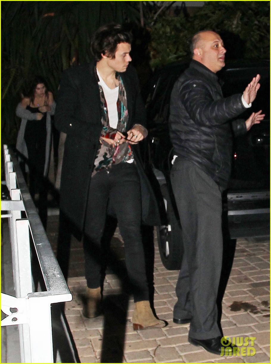 Harry Styles Parties With Pals For His 23rd Birthday | Photo 1066441 ...