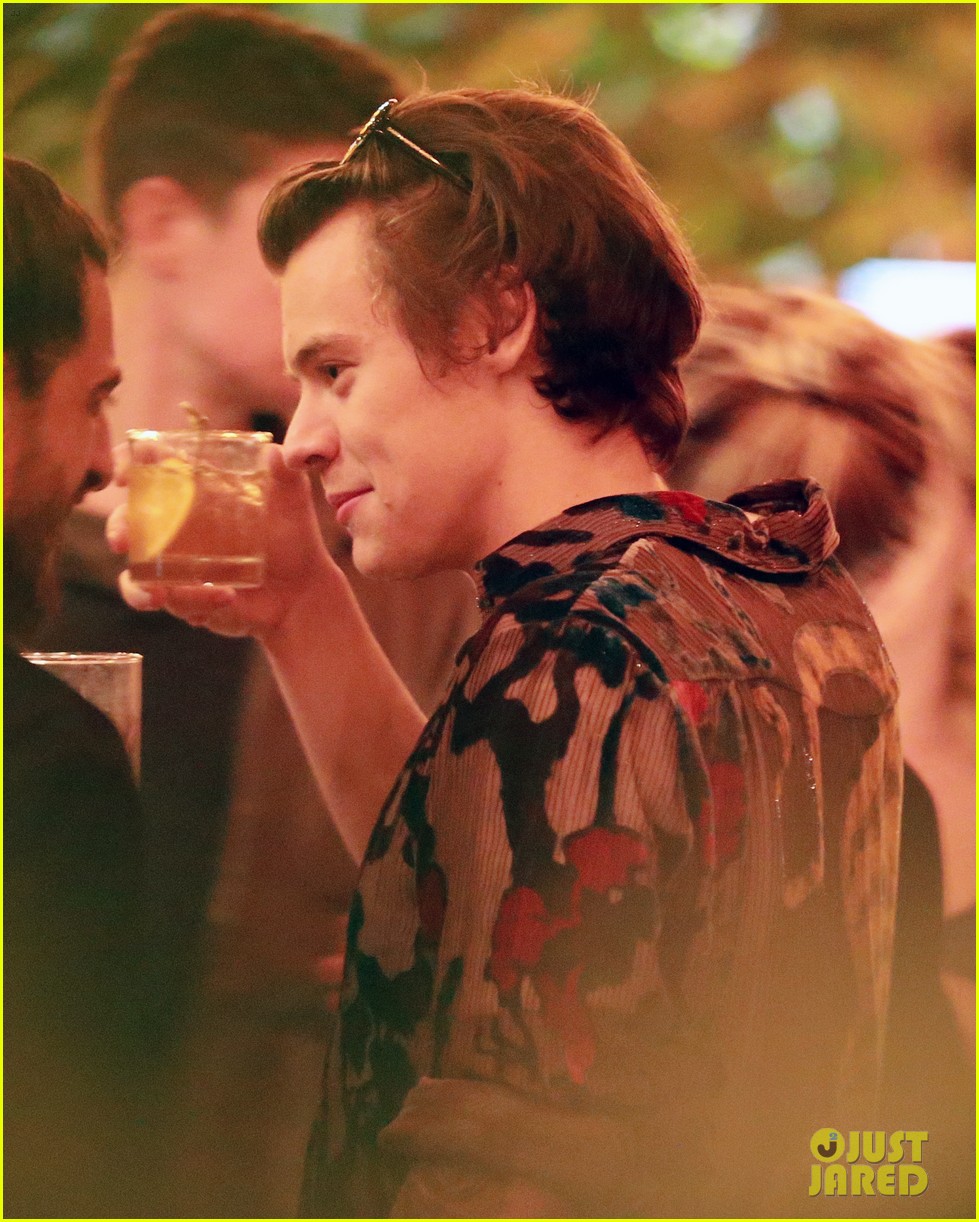 Harry Styles Parties With Pals For His 23rd Birthday | Photo 1066446 ...