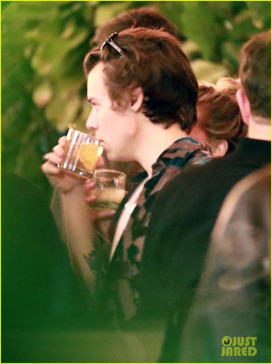 Harry Styles Parties With Pals For His 23rd Birthday | Photo 1066447 ...