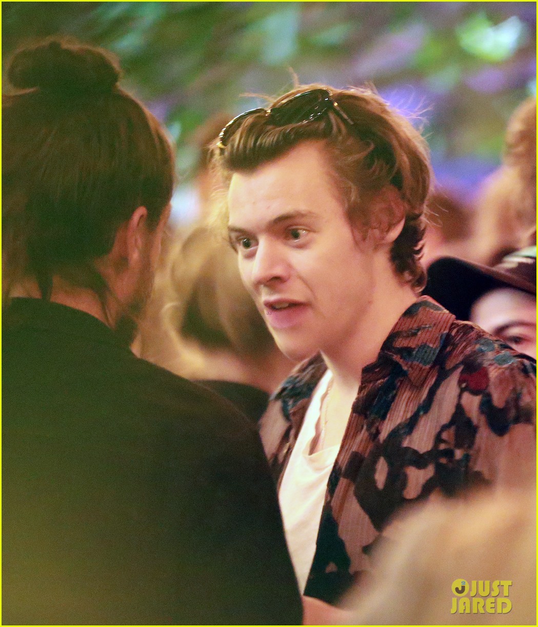 Harry Styles Parties With Pals For His 23rd Birthday | Photo 1066454 ...