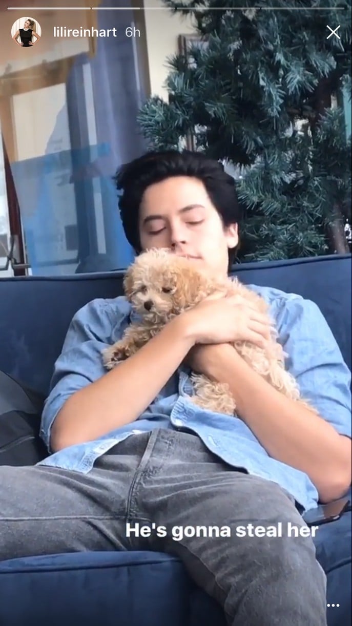 Cole Sprouse Cuddles With Candice Patton's Puppy Zoe at Comic-Con 2017 ...