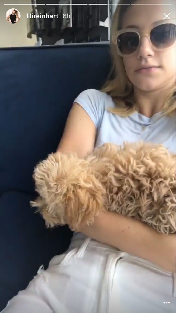 Cole Sprouse Cuddles With Candice Patton's Puppy Zoe at Comic-Con 2017 ...