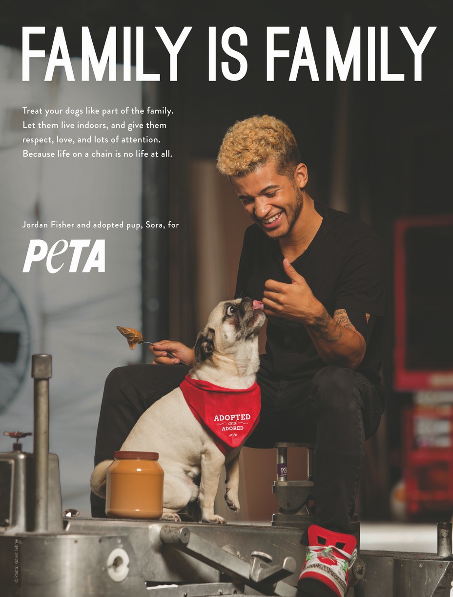 DWTS' Jordan Fisher & Pup Sora's New 'peta2' Ad Will Be The Best Thing ...