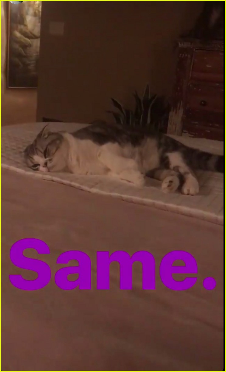 Taylor Swift Treats Tour Dancers to a Pool Party! | Photo 1156727 ...