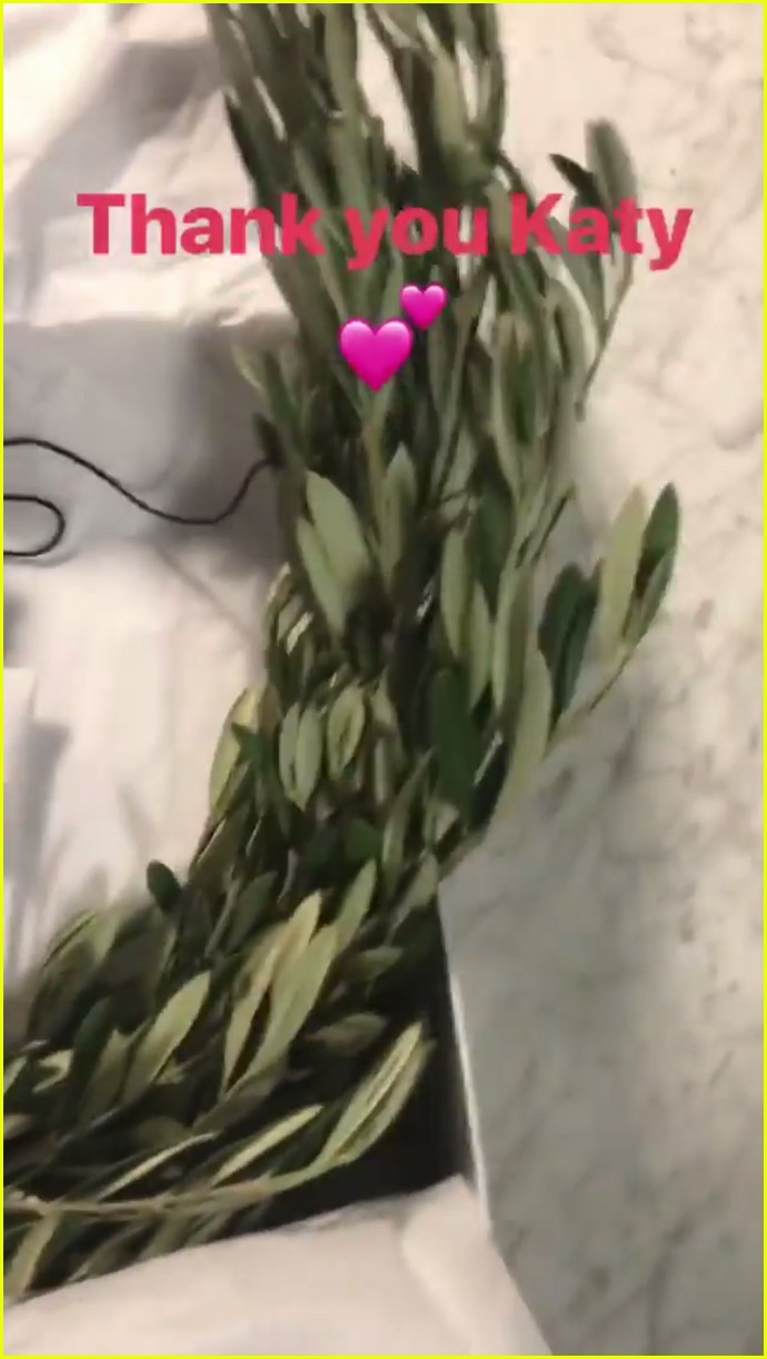 Full Sized Photo of katy perry sends taylor swift olive branch 02 ... Full Sized Photo of katy perry sends taylor swift olive branch 02 ...