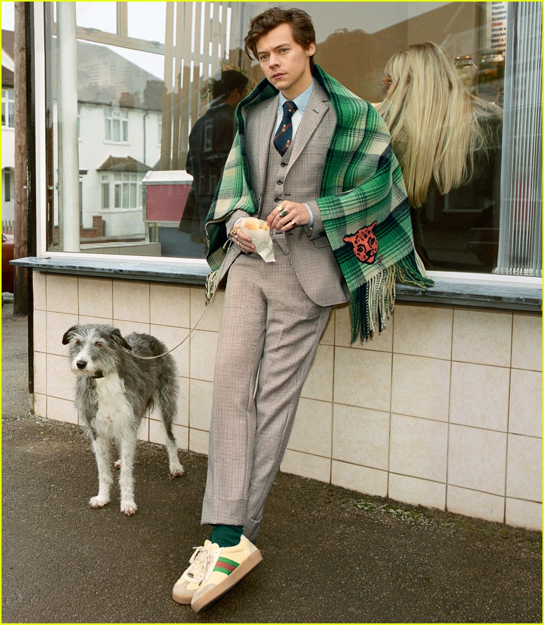 Harry Styles' Gucci Campaign Photos Are Here! | Photo 1163962 - Photo ...
