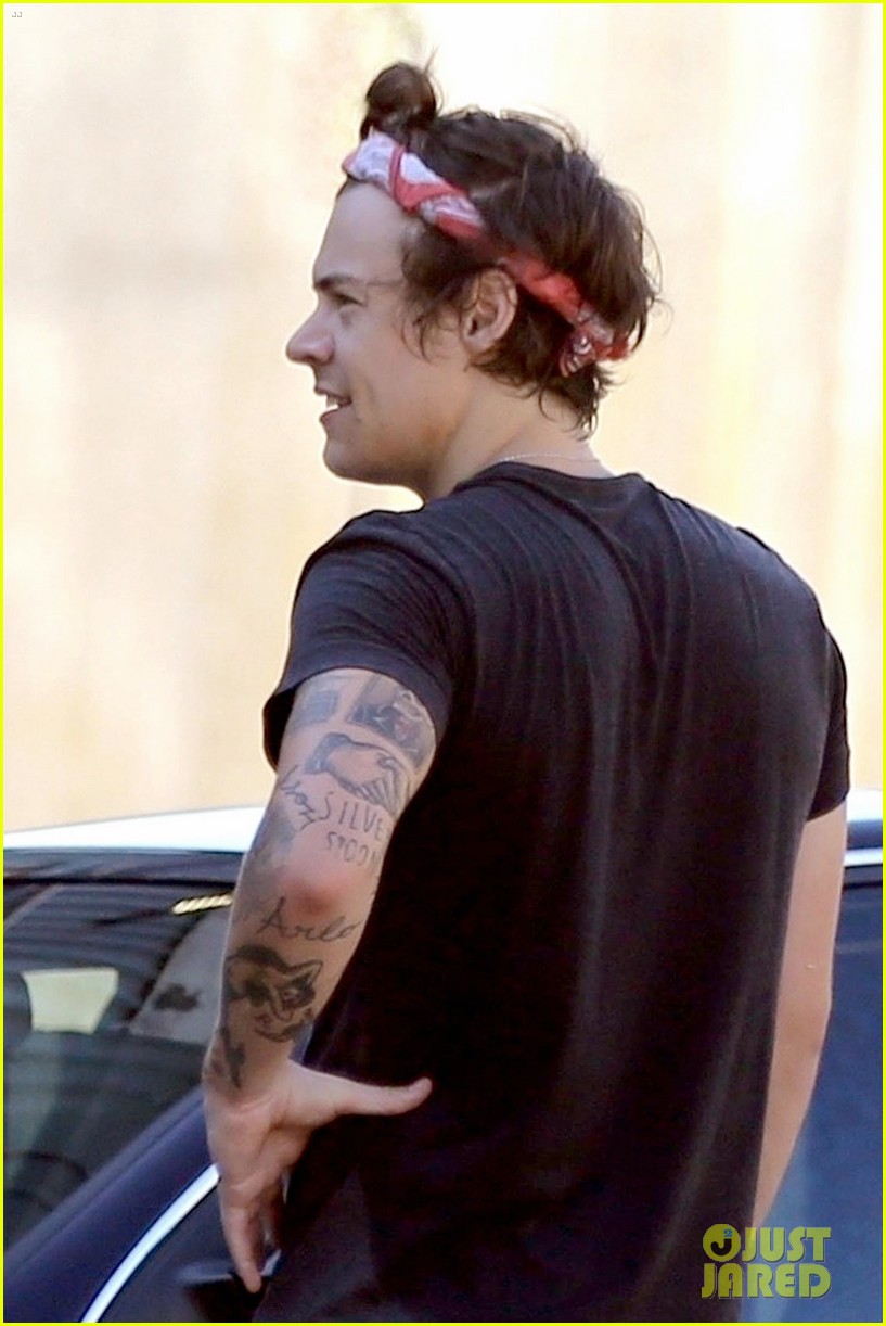 Harry Styles Working Out