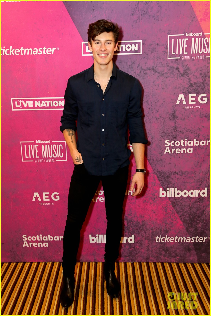 Shawn Mendes Named Artist of the Year at Billboard's Live Music Summit ...