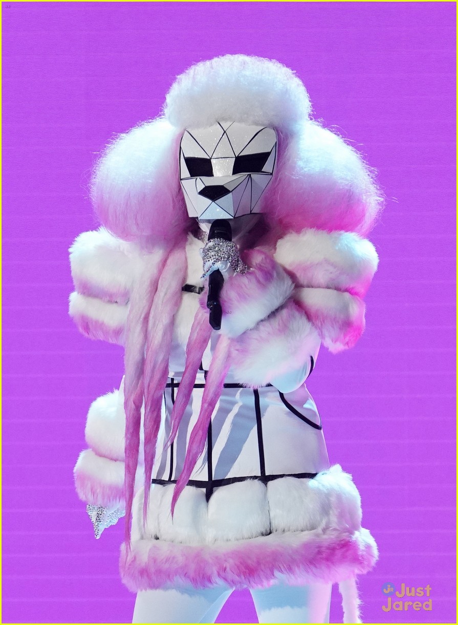 Raven, Alien, Poodle, Pineapple, Rabbit & Bee Compete On Tonight's 'The ...