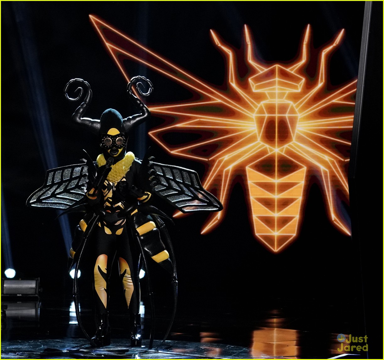 Raven, Alien, Poodle, Pineapple, Rabbit & Bee Compete On Tonight's 'The ...