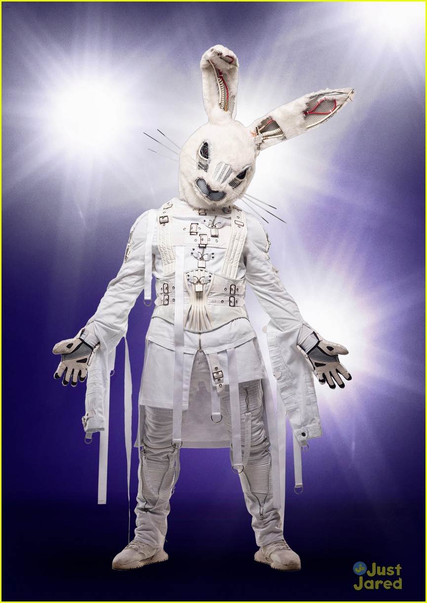 Raven, Alien, Poodle, Pineapple, Rabbit & Bee Compete On Tonight's 'The ...