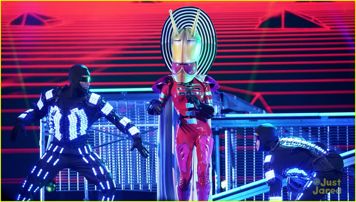 Raven, Alien, Poodle, Pineapple, Rabbit & Bee Compete On Tonight's 'The ...