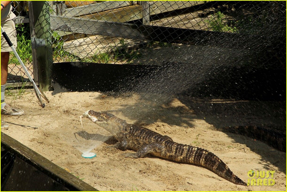 Kaya Scodelario Promotes New Movie 'Crawl' At Alligator Exhibit in NYC ...