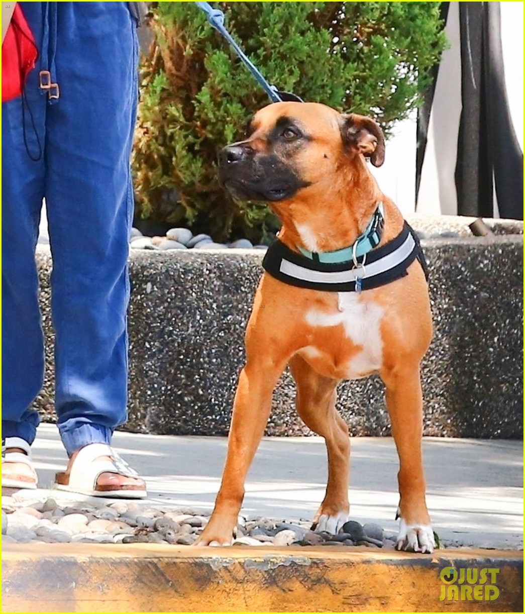 Isabela Moner Walks Her Dog in West Hollywood! | Photo 1248517 - Photo ...