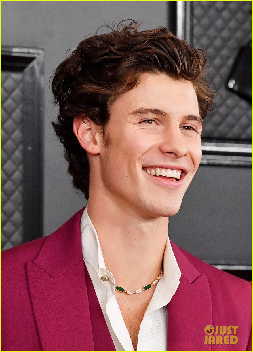 Shawn Mendes Brings the Peace to Grammys 2020 | Photo 1285094 - Photo ...