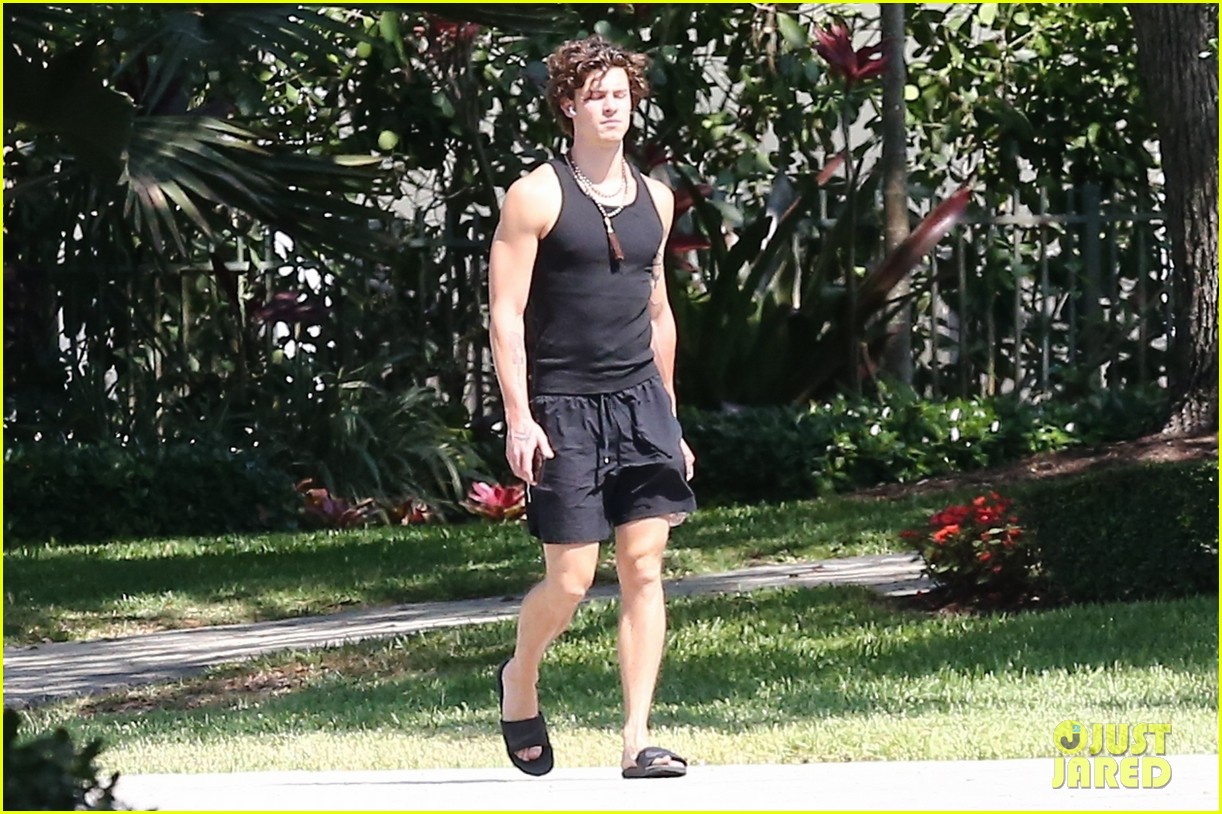 Shawn Mendes Rocks Out to Tunes on His Solo Walk | Photo 1292124 ... Shawn Mendes Rocks Out to Tunes on His Solo Walk | Photo 1292124 ...