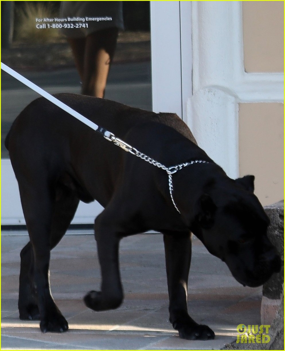 Full Sized Photo of kendall jenner pet store with devin booker 07 ...