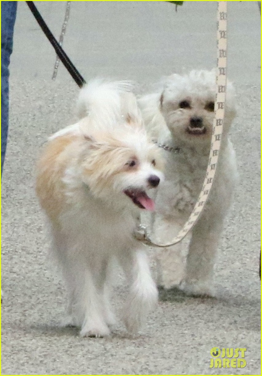 Lili Reinhart Goes On Birthday Dog Walk With 'Riverdale' Besties ...