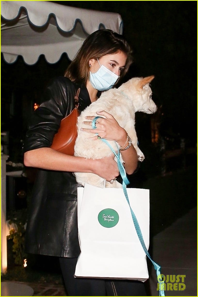 Full Sized Photo of kaia gerber brings her dog to dinner with jacob ...