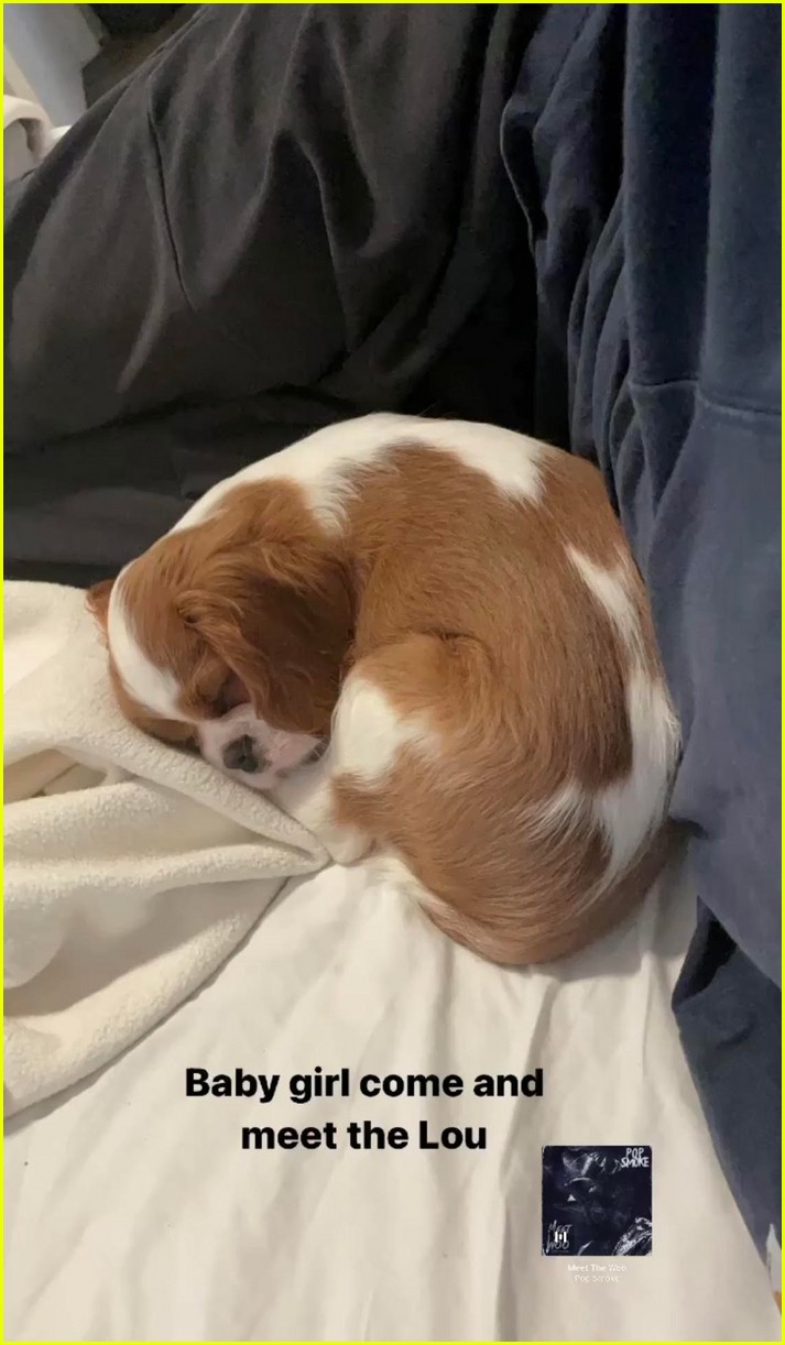 Milo Manheim Got The Cutest New Puppy Just Before Christmas | Photo ...