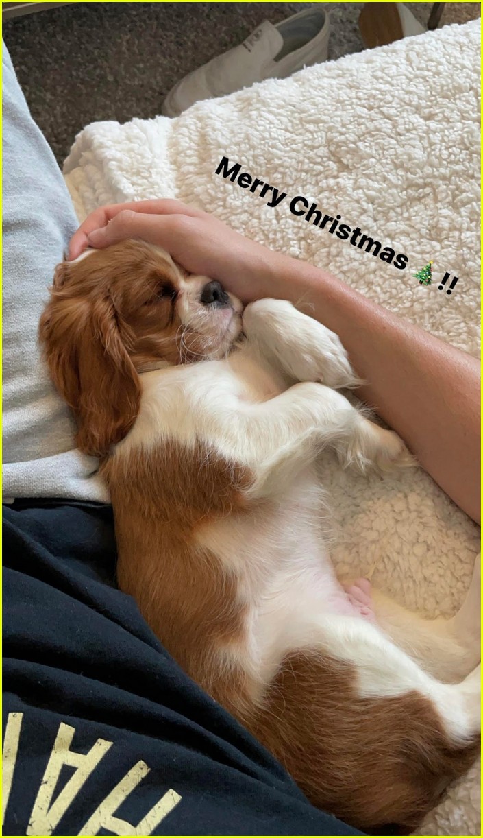 Milo Manheim Got The Cutest New Puppy Just Before Christmas | Photo ...