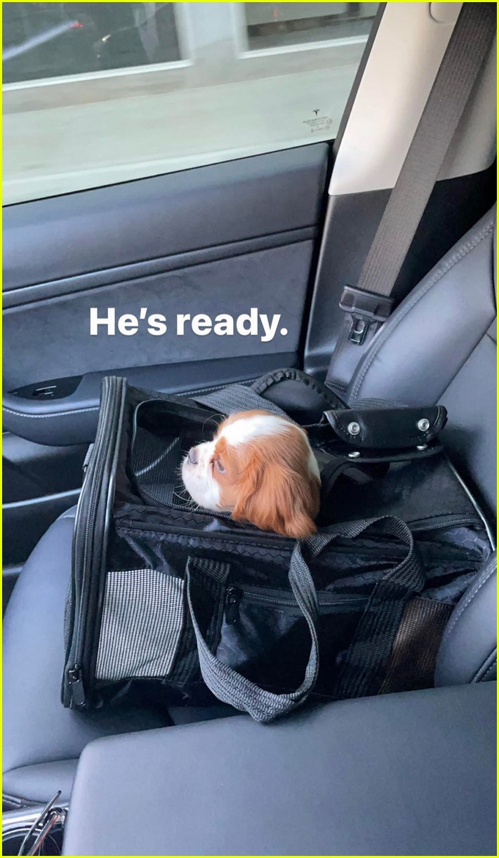 Milo Manheim Got The Cutest New Puppy Just Before Christmas | Photo ...