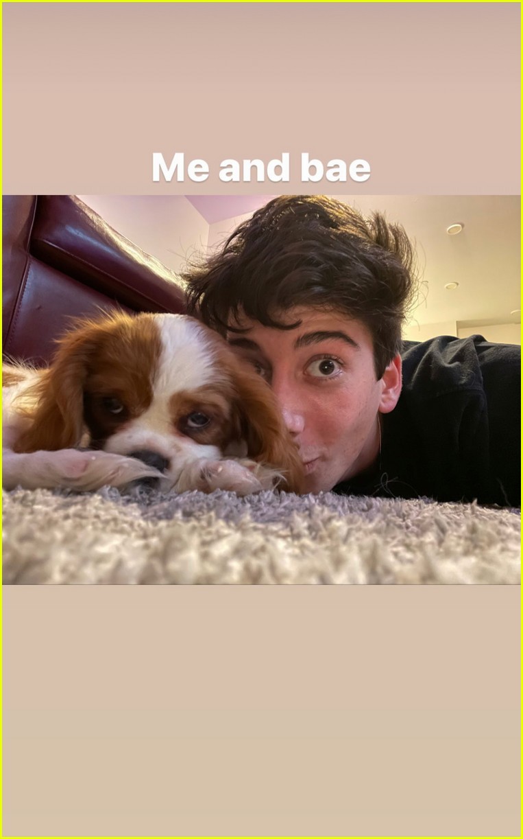 Milo Manheim Got The Cutest New Puppy Just Before Christmas | Photo ...