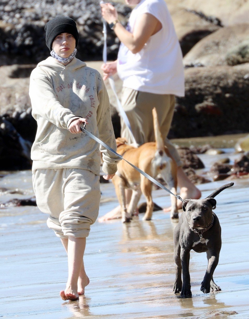 Billie Eilish Hits The Beach With Her Dogs & Brother Finneas in LA ...