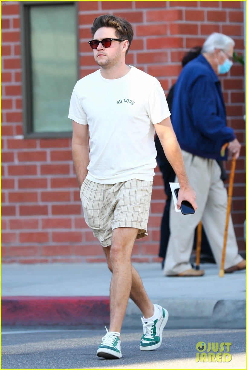 Niall Horan Celebrates 4 Years of Debut Album 'Flicker' | Photo 1327594 ...