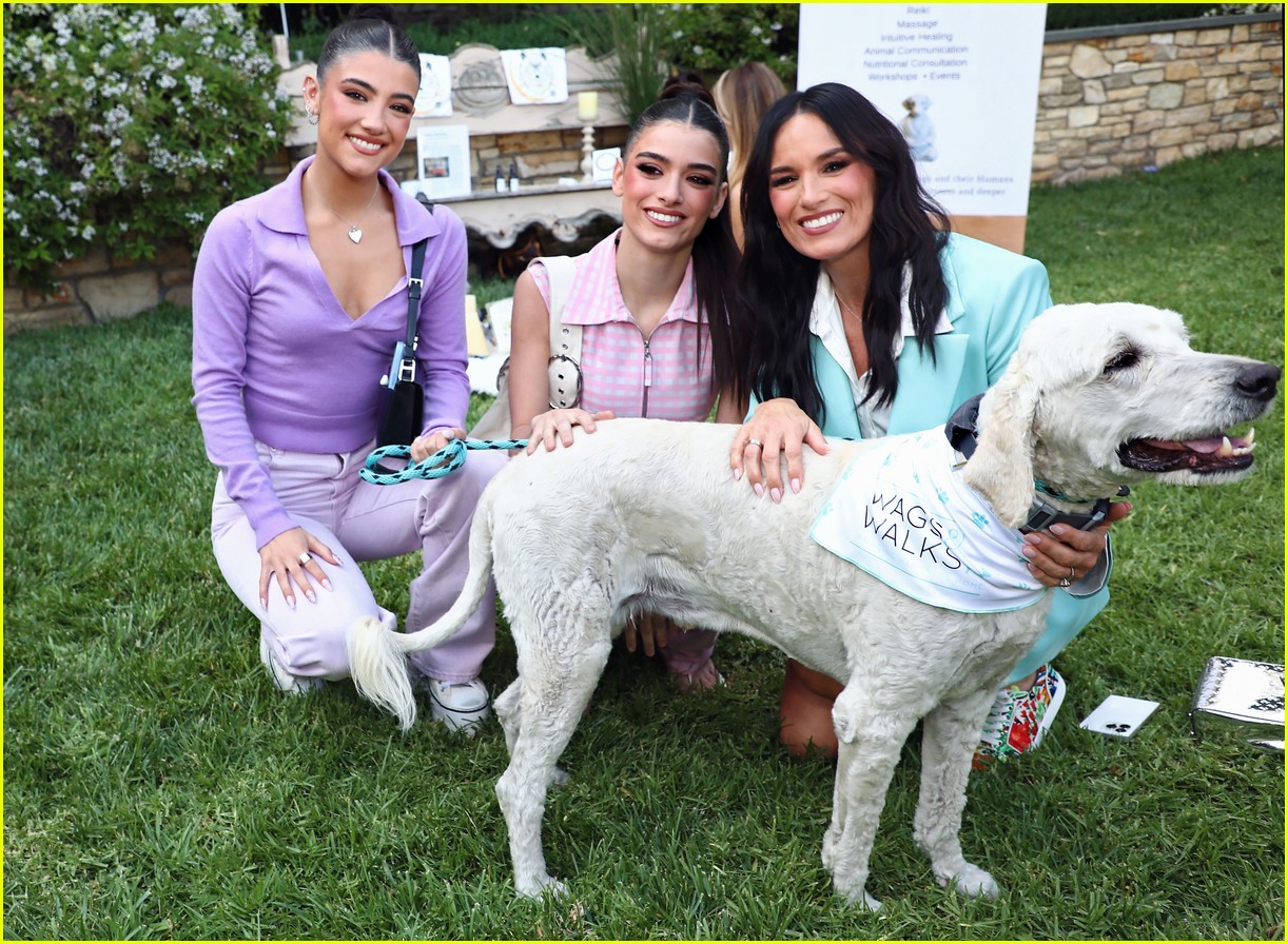 Charli & Dixie D'Amelio Get Mom Heidi a Billboard For Early Mother's ...