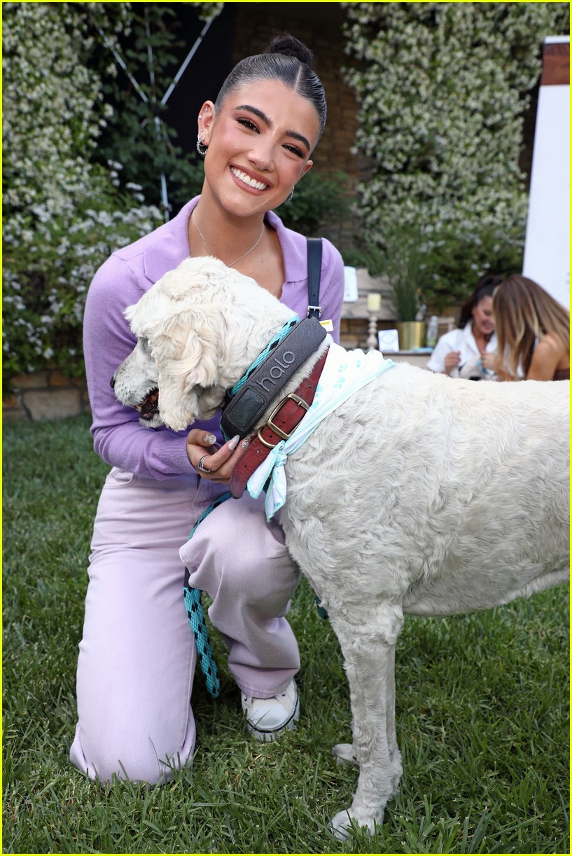 Full Sized Photo of charli dixie damelio get their mom a billboard for ...