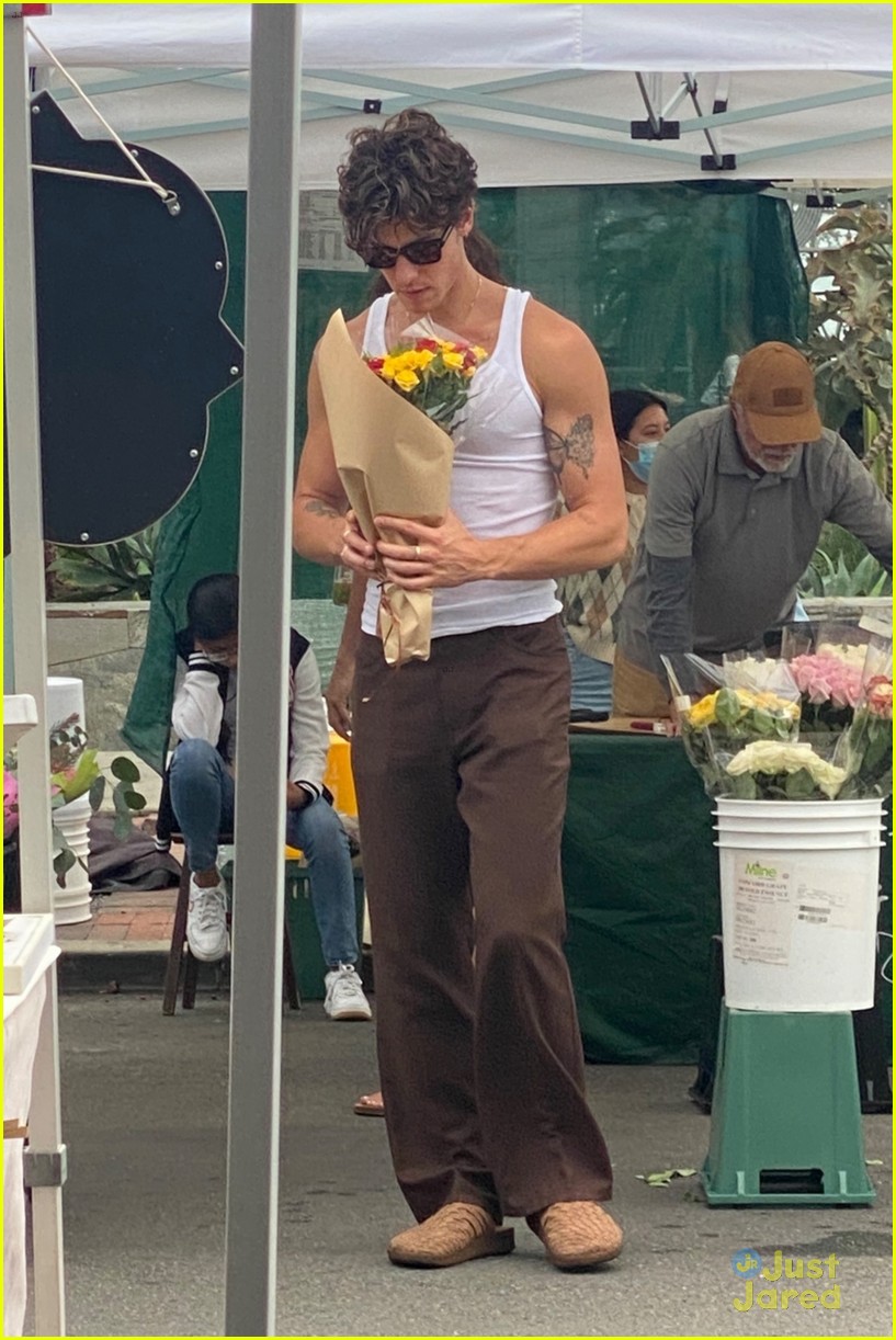 Shawn Mendes Grabs Coffee Days After Attending Halloween Horror Nights ...