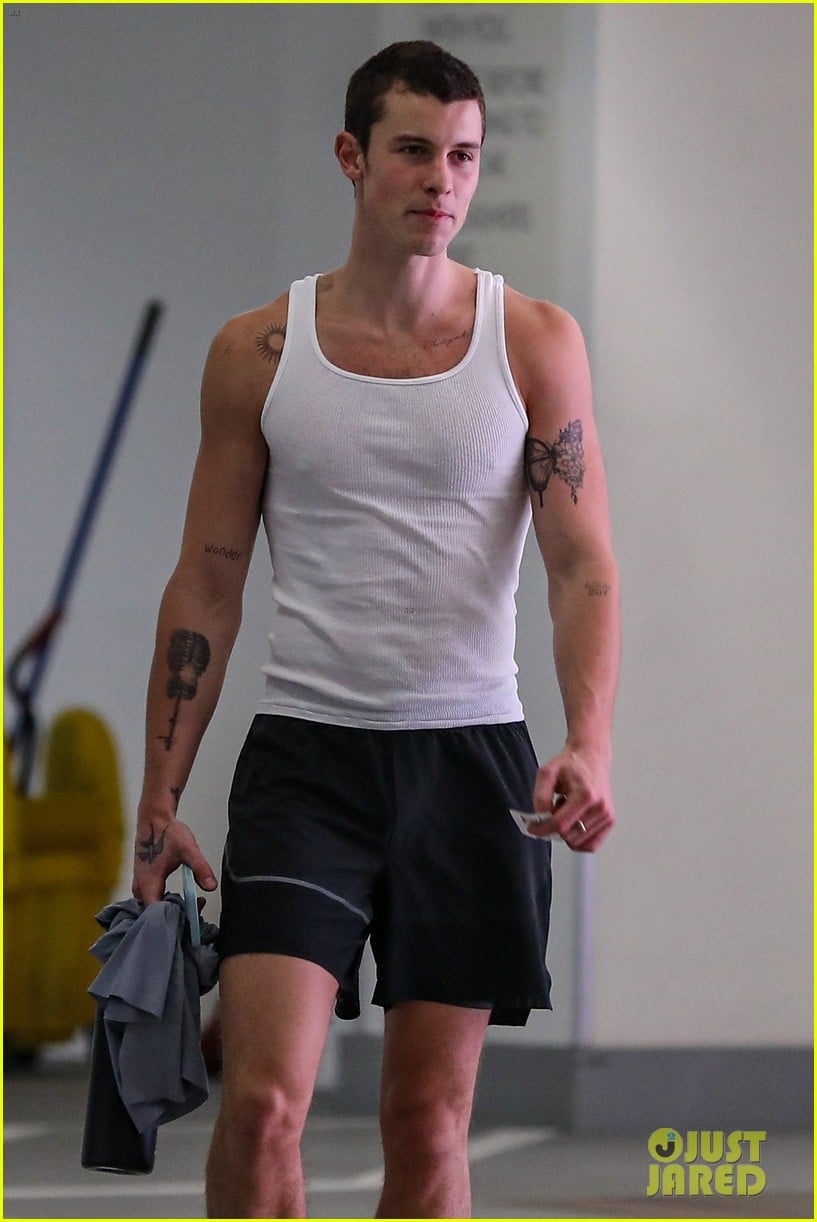 Shawn Mendes Jumpstarts the Week with a Workout | Photo 1367505 - Photo ...