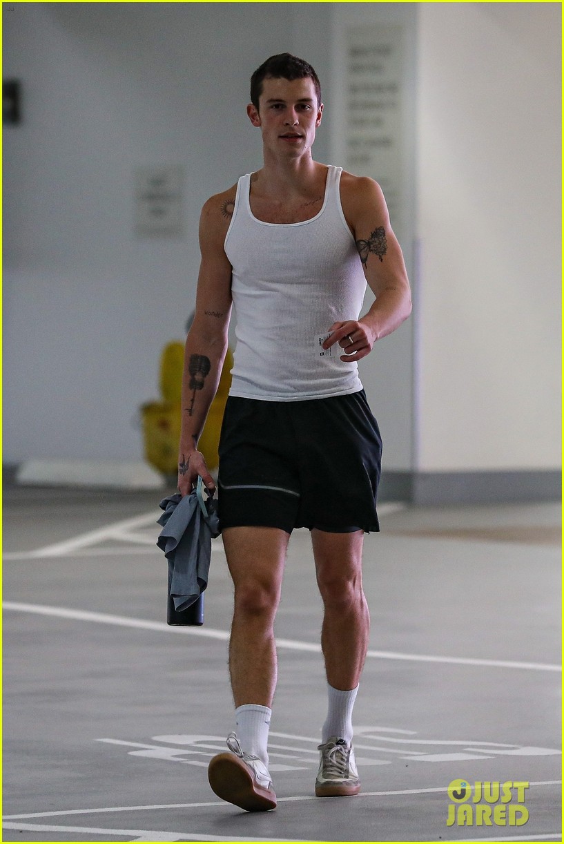 Shawn Mendes Jumpstarts the Week with a Workout | Photo 1367510 - Photo ...