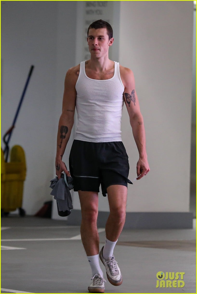 Shawn Mendes Jumpstarts the Week with a Workout | Photo 1367521 - Photo ...