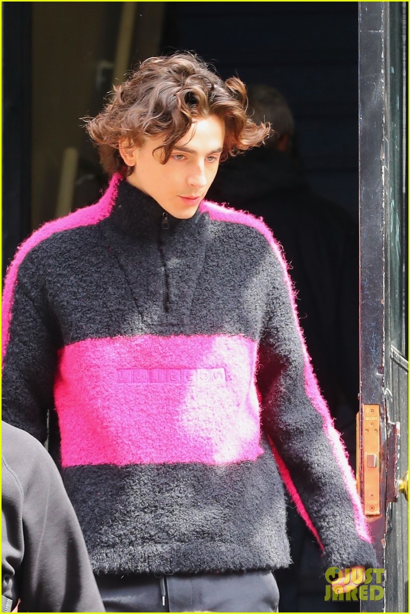 Timothee Chalamet Can Barely Contain His Smile While Getting Back to ...