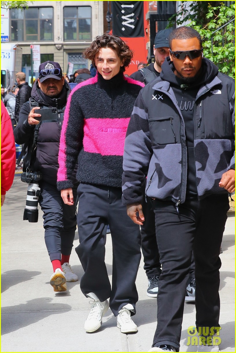 Timothee Chalamet Can Barely Contain His Smile While Getting Back to ...