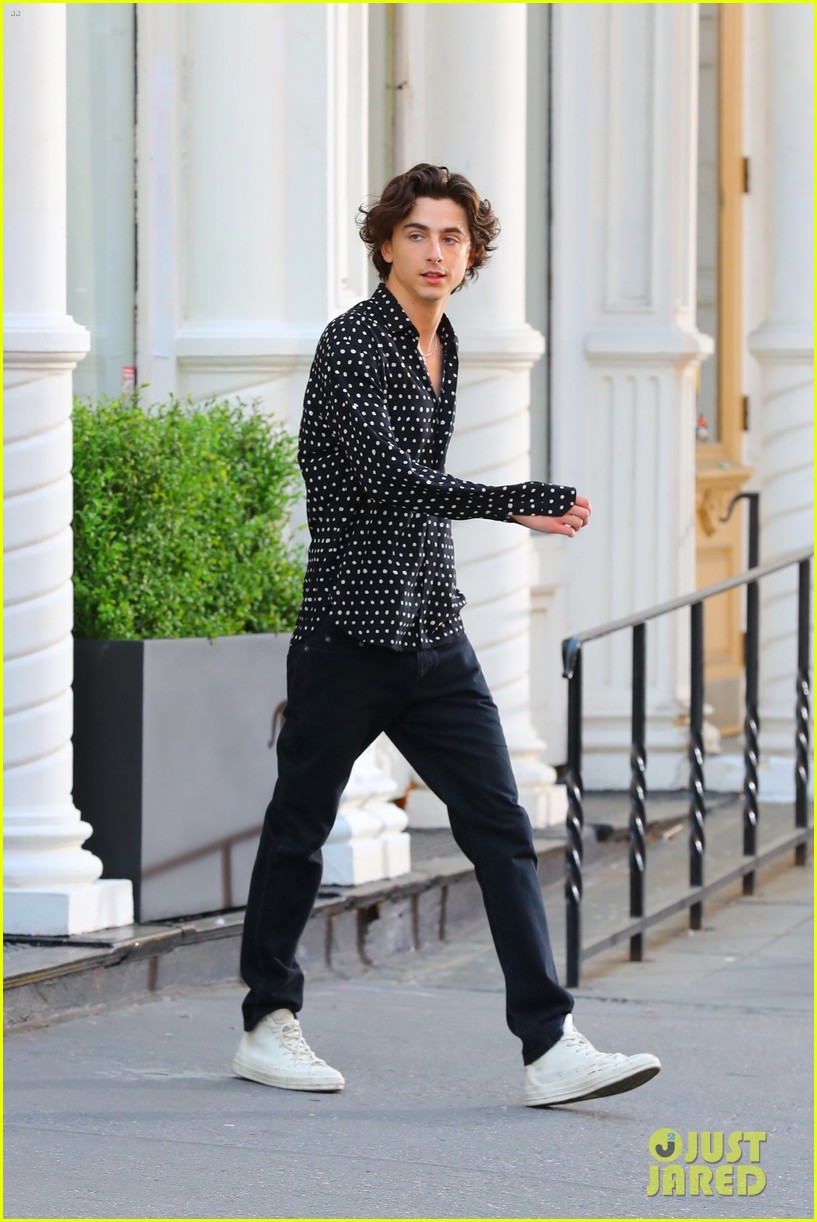 Timothee Chalamet Can Barely Contain His Smile While Getting Back to ...