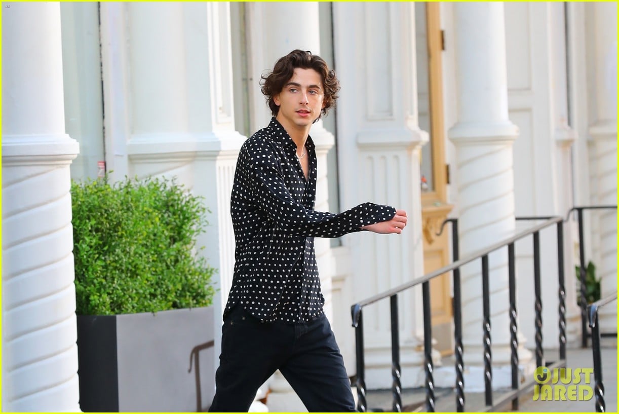 Timothee Chalamet Can Barely Contain His Smile While Getting Back to ...