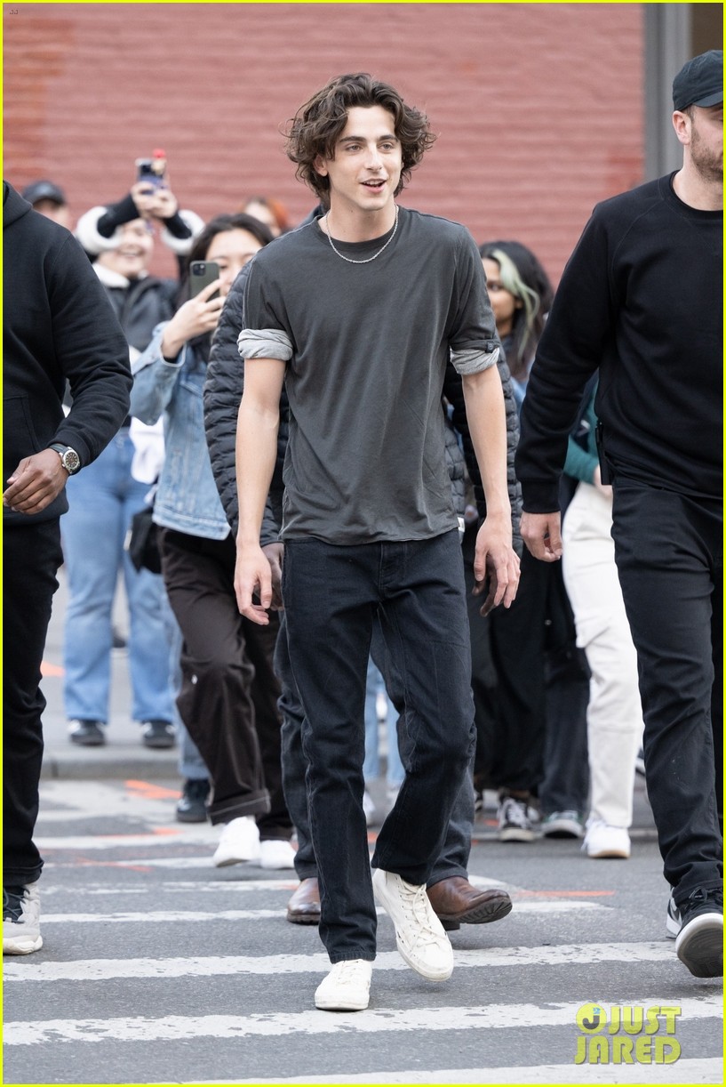 Timothee Chalamet Can Barely Contain His Smile While Getting Back to ...
