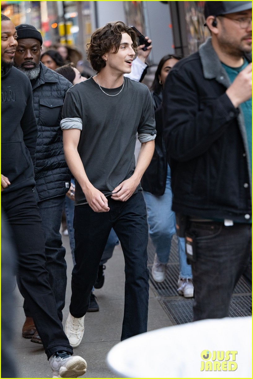 Timothee Chalamet Can Barely Contain His Smile While Getting Back to ...