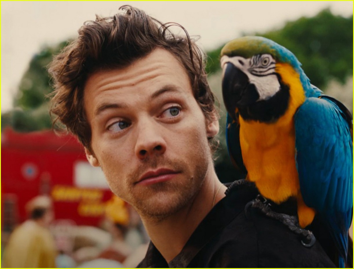 Harry Styles Releases Circus-Themed 'Daylight' Music Video Over a Year ...