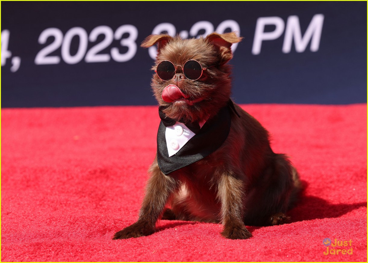 'PAW Patrol: The Mighty Movie' Breaks Guinness World Record at Weekend ...