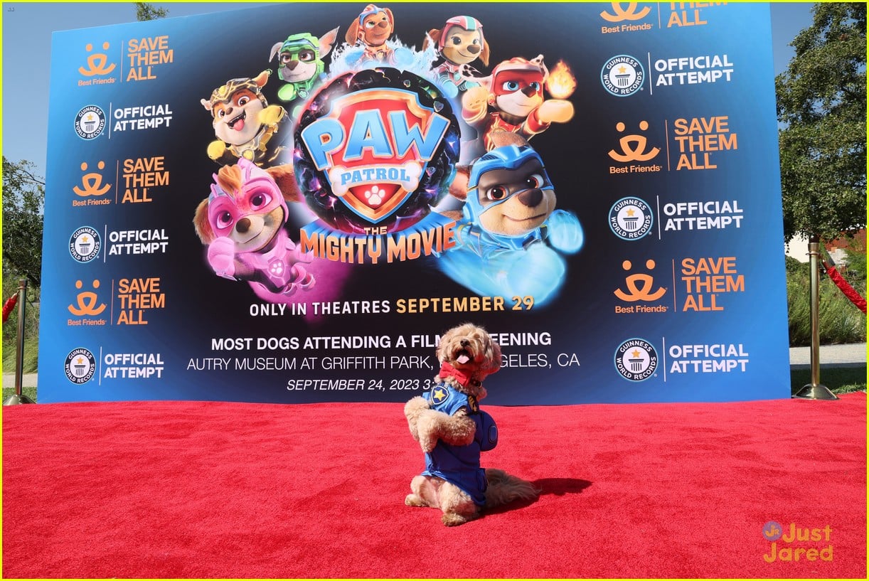 Full Sized Photo of paw patrol the mighty movie breaks guinness world ...