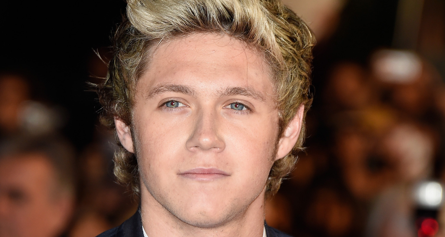 Niall Horan Reveals His Go-To Karaoke Songs! | Niall Horan, One ...